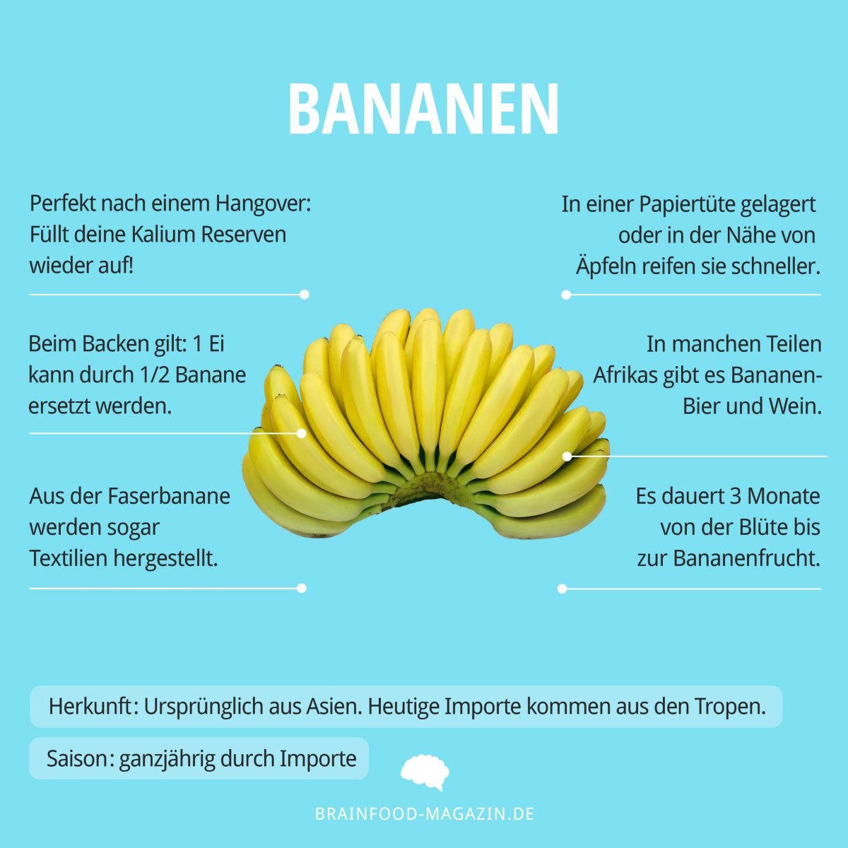 Gesundheitsfakten und Wissenswertes über Bananen - Brain Food Magazin ...