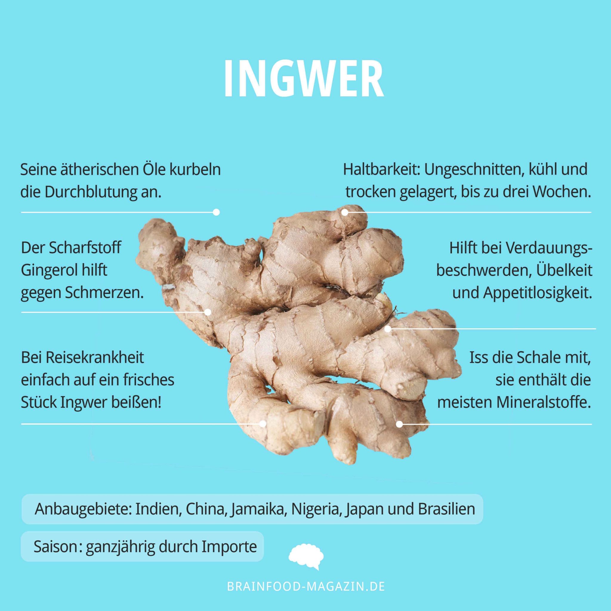 Food Fakten Ingwer - Brain Food Magazin – lebe bewusst