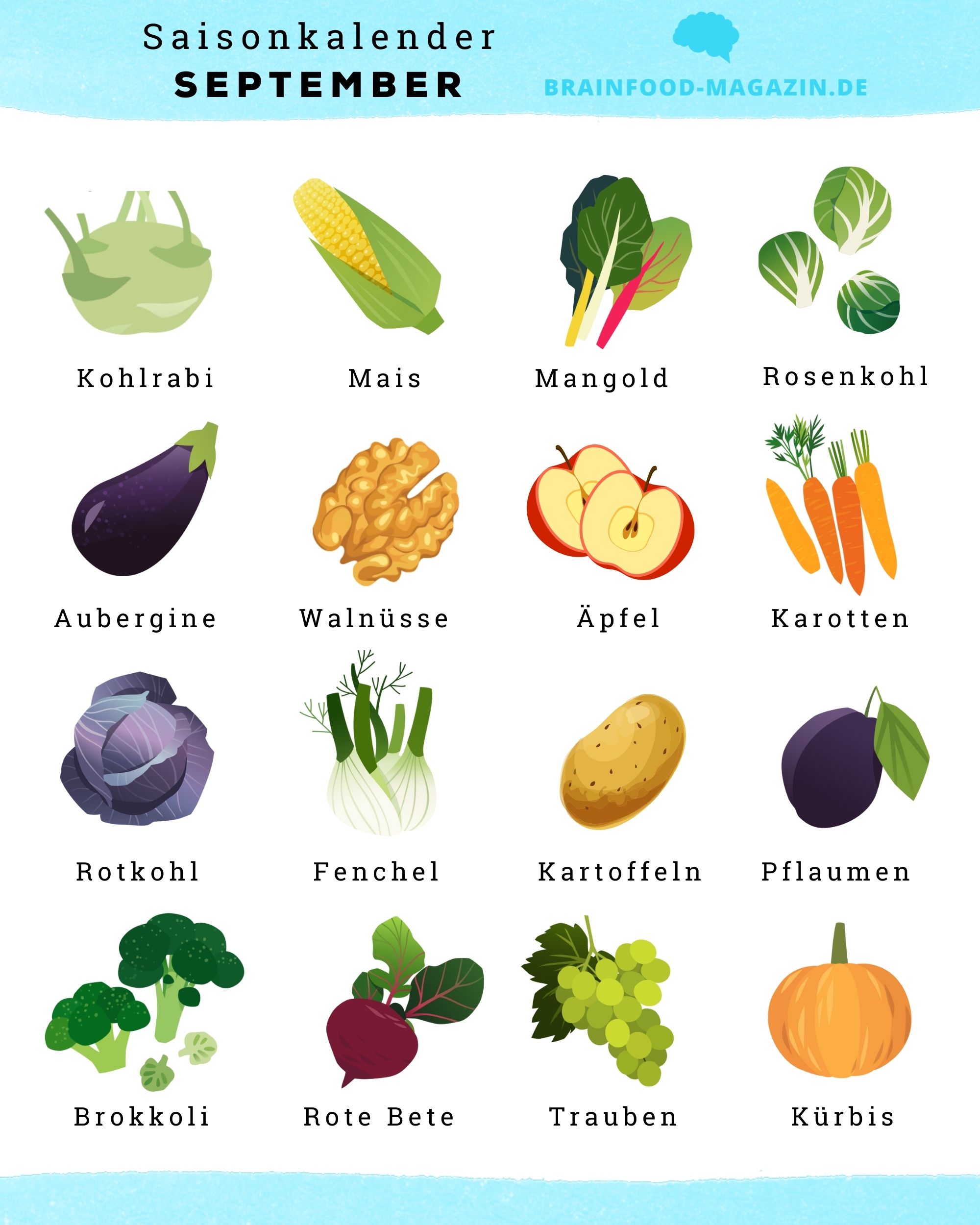 Was hat Saison im September? Der Saisonkalender für mehr Nachhaltigkeit ...
